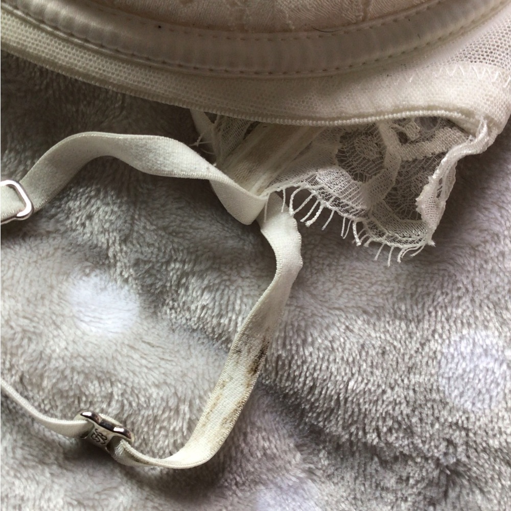 Honey Birdette Lace Bra - Gem